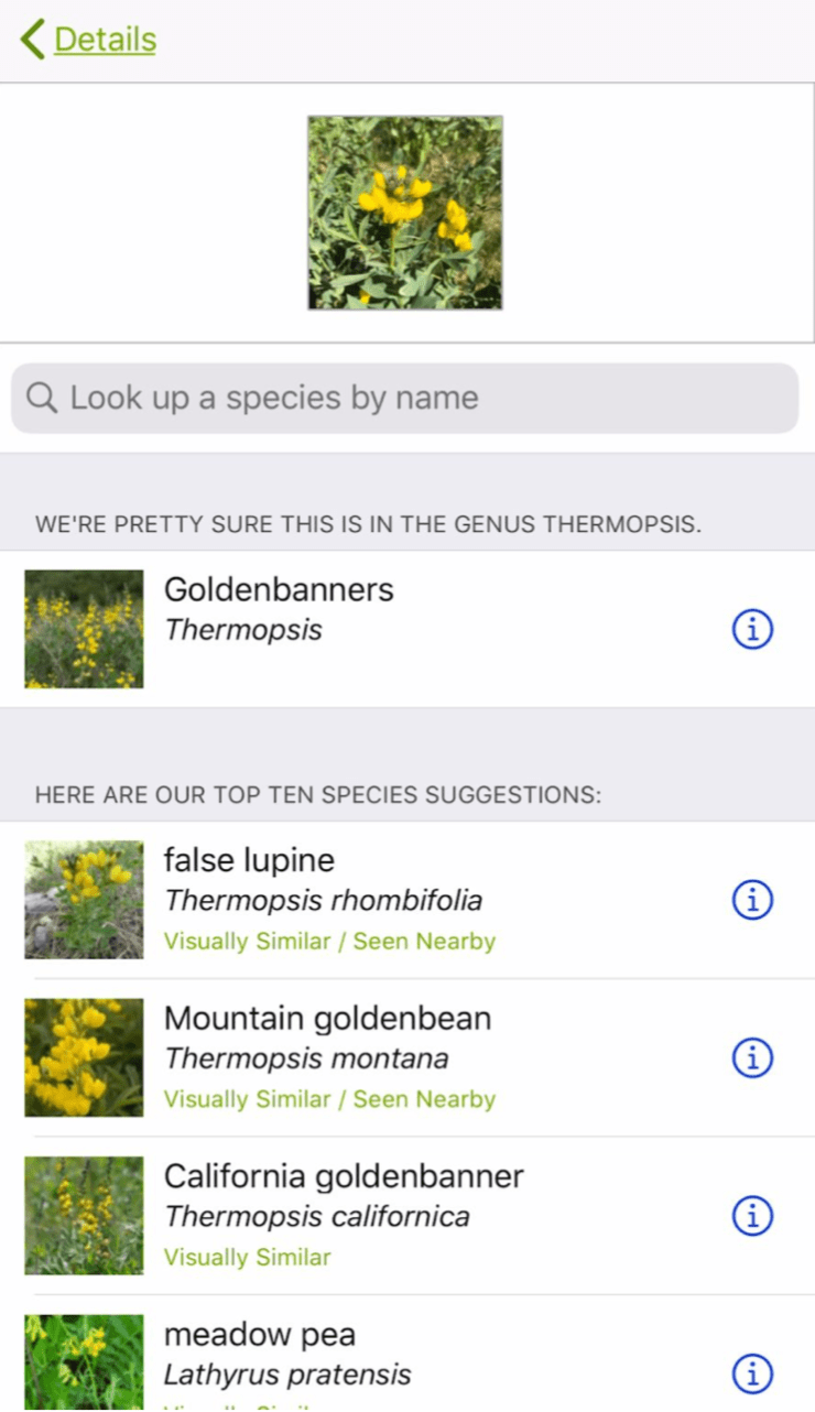 #OptInside: Explore the iNaturalist App - Wilderness Inquiry