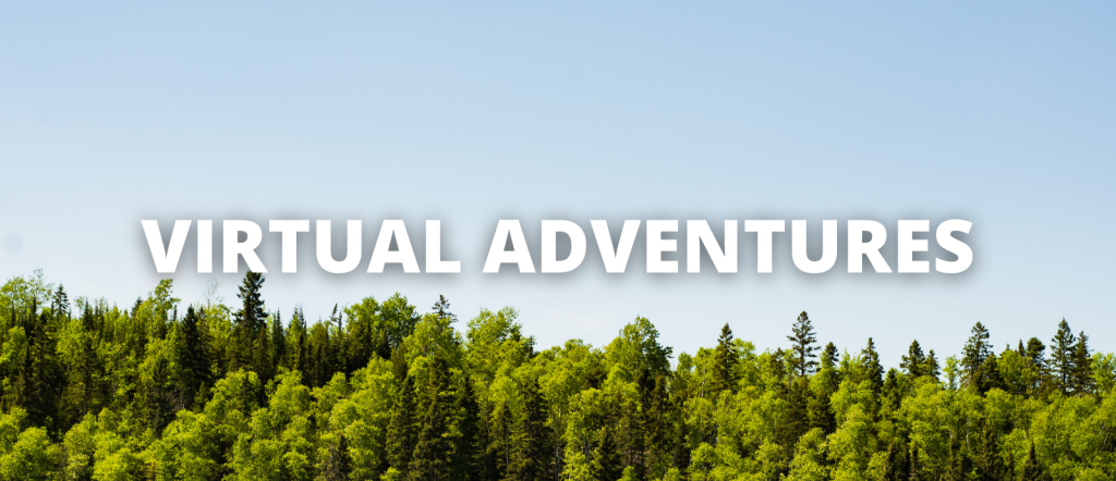 Adult Virtual Adventures - Wilderness Inquiry